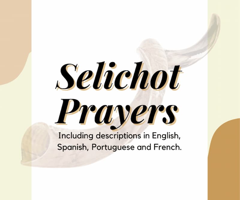 Sephardic Resources Hub | SephardicU